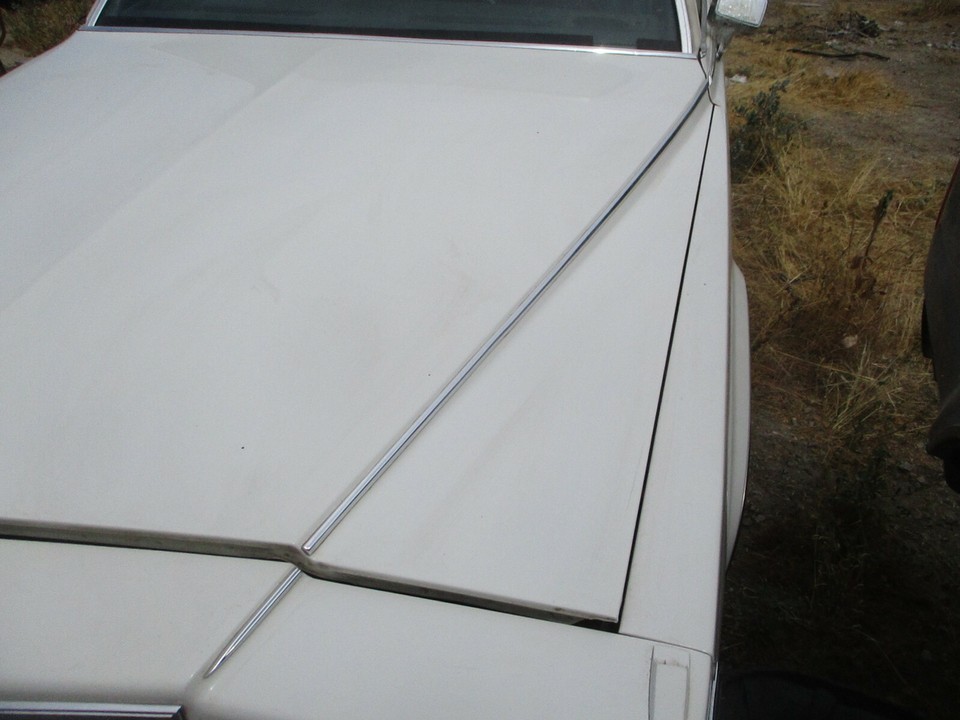 1990-1992 Cadillac Brougham 4DR Hood Panel Front | Genuine OEM | White