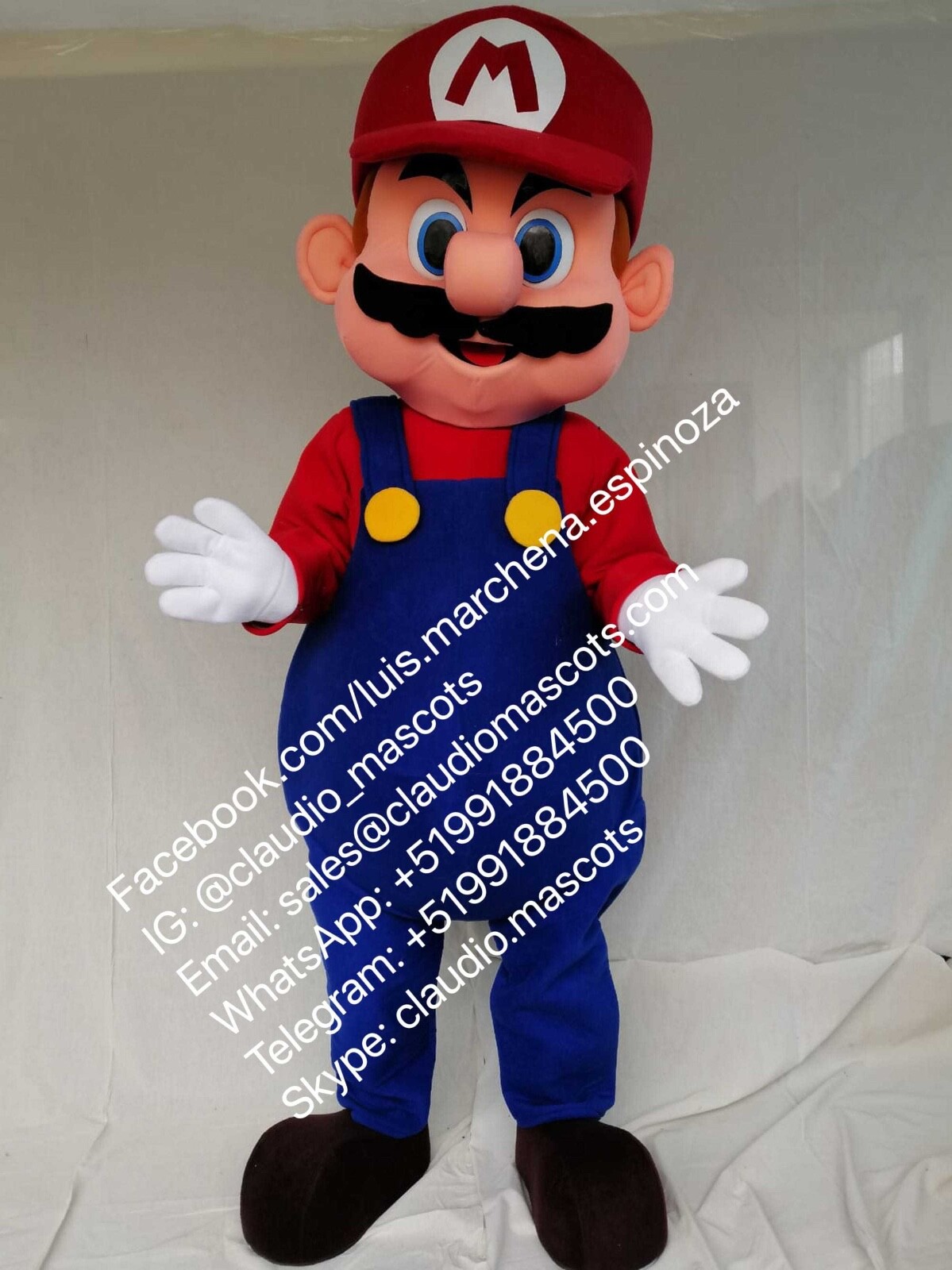 Mario Bros Mascot Costume Mascotte cosplay botarga halloween Claudio ...