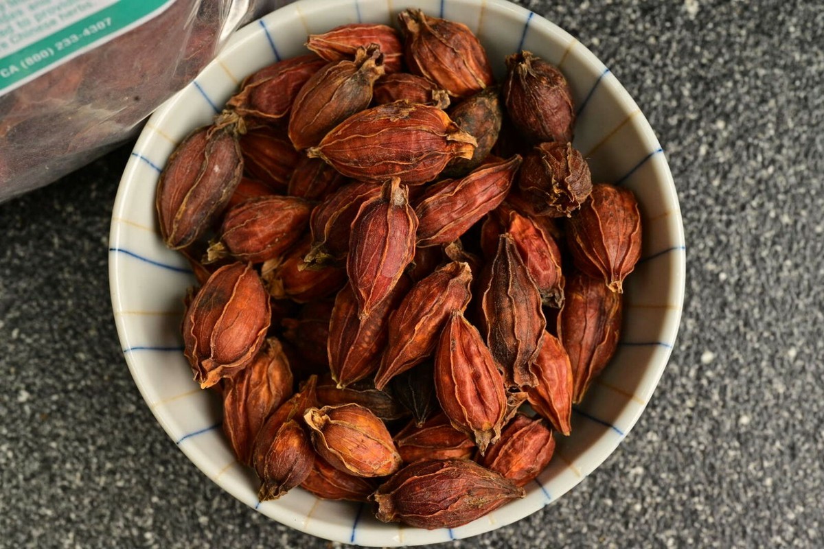Gardenia Jasminoides Fruit