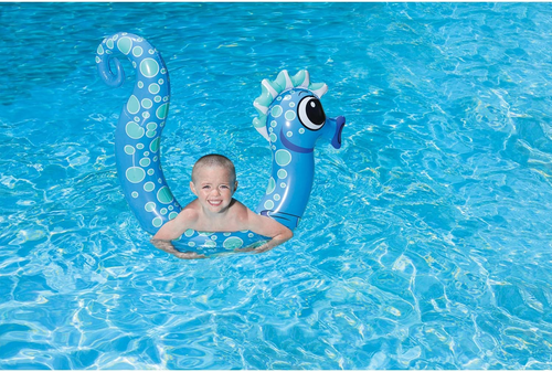 Swimming Pool Noodle Floaties for Kids, Seahorse, 2 Pack | eBay