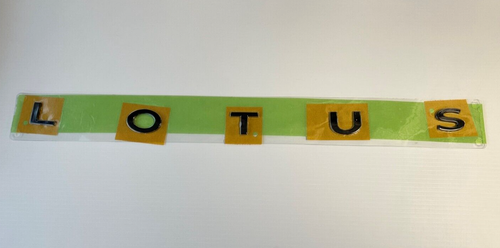 Genuine Lotus BLACK Emblem Letters Badge 2023 Emira Black Edition ...