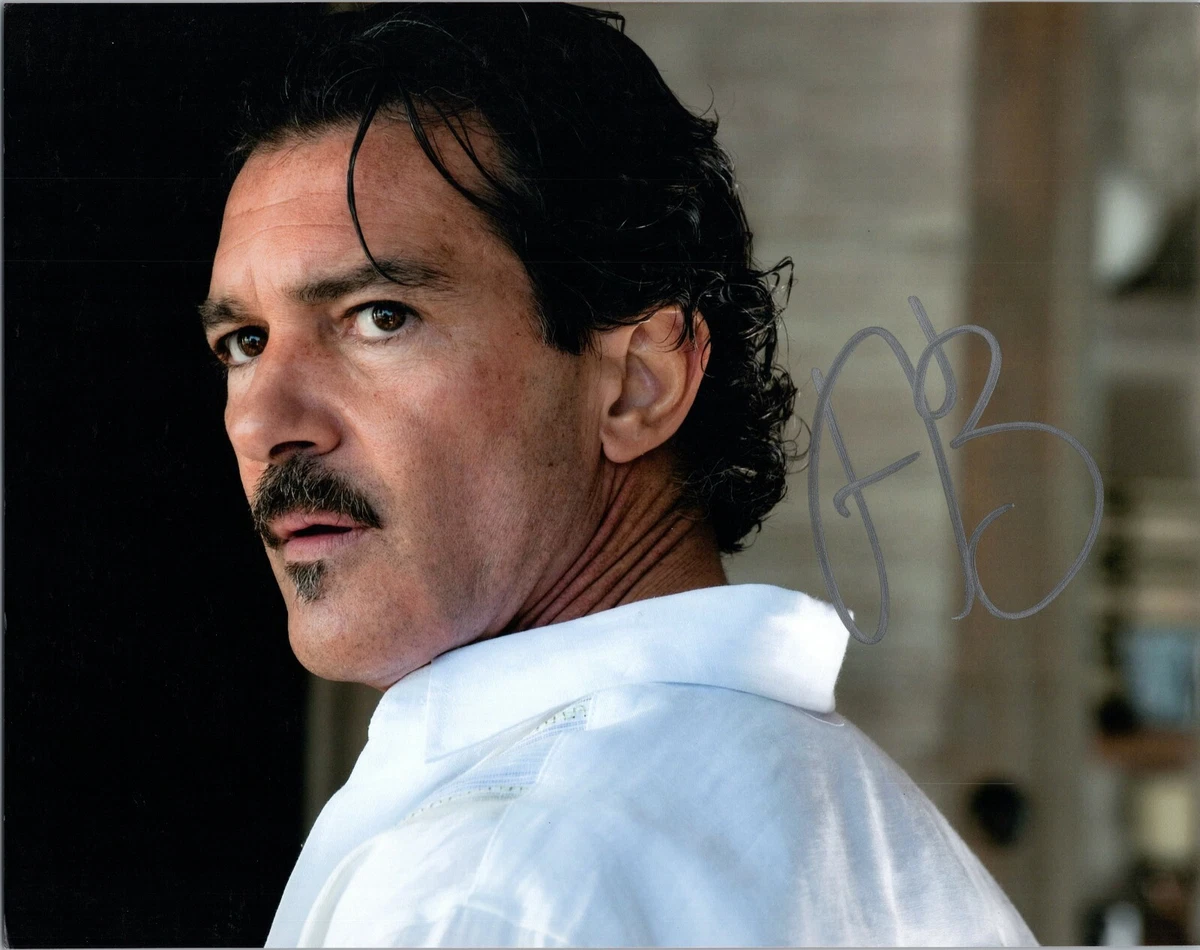 Antonio Banderas Zorro Beard