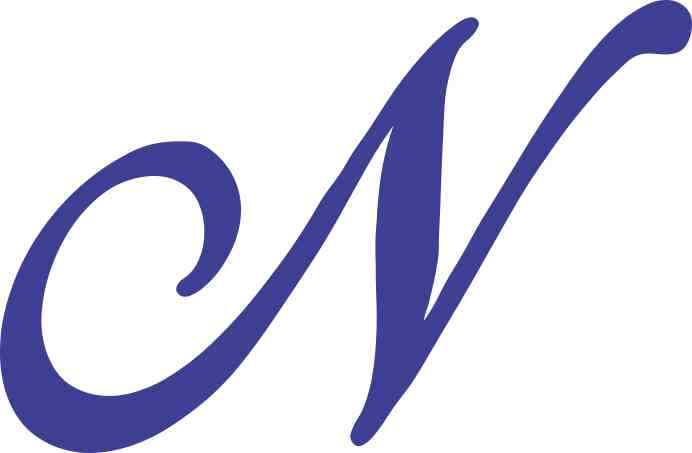 Fancy N Logo