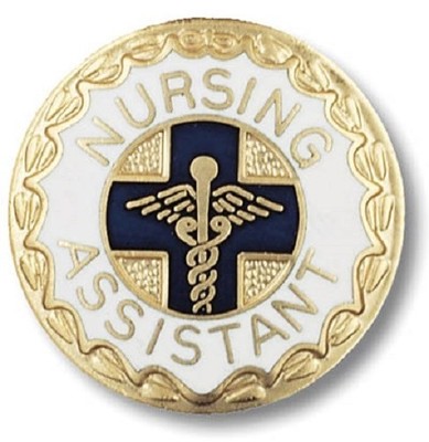 Nursing Assistant Lapel Pin Medical NA Gold Plated Graduation ...