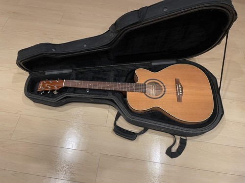 Simon Patrick Luthier Acoustic Guitar | eBay