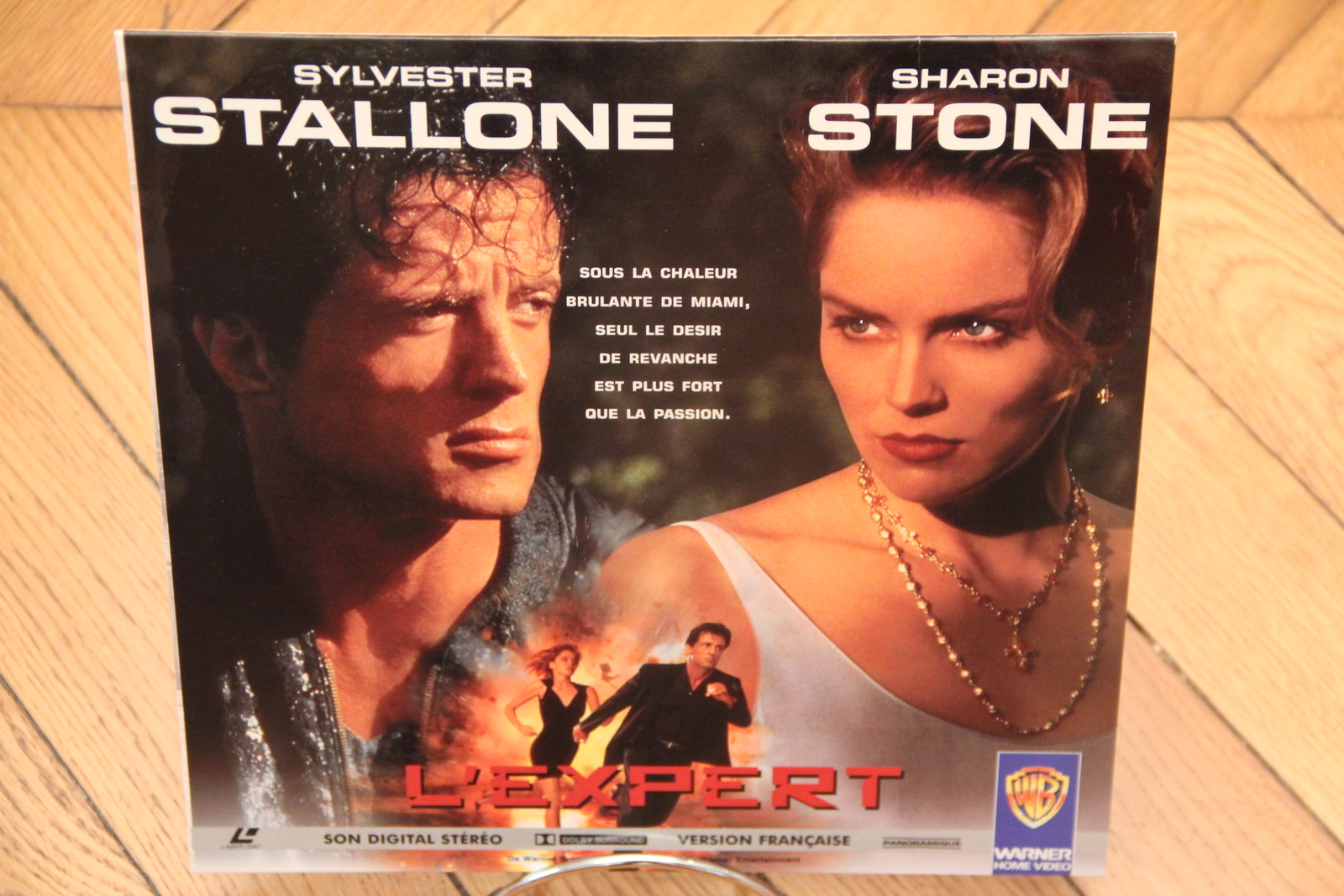 Specialist, 1994 Laserdisc LD PAL Action Stallone Stallone | eBay