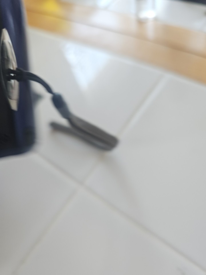 Nikon COOLPIX L22 12.0MP Digital Camera - Blue | eBay