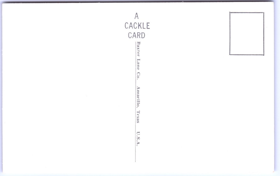 Postcard Funny It's Been Fun Knowing "No"-ing You Cackle Card J4 | eBay