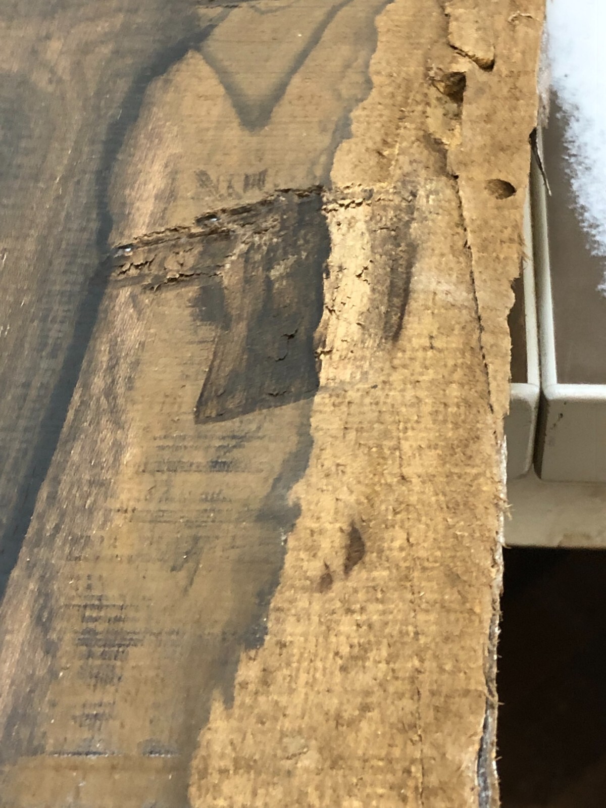 ZL13) Ziricote Lumber (39"x 8"+/-) Slab 1 7/8" thick Kiln Dried Wood ...