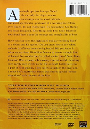 NOVA: Bees - Tales From the Hive [DVD] 783421290198| eBay