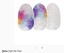 Color Street Nail Polish Twosies - 2 Pack - Sample twosie - Buy More ...