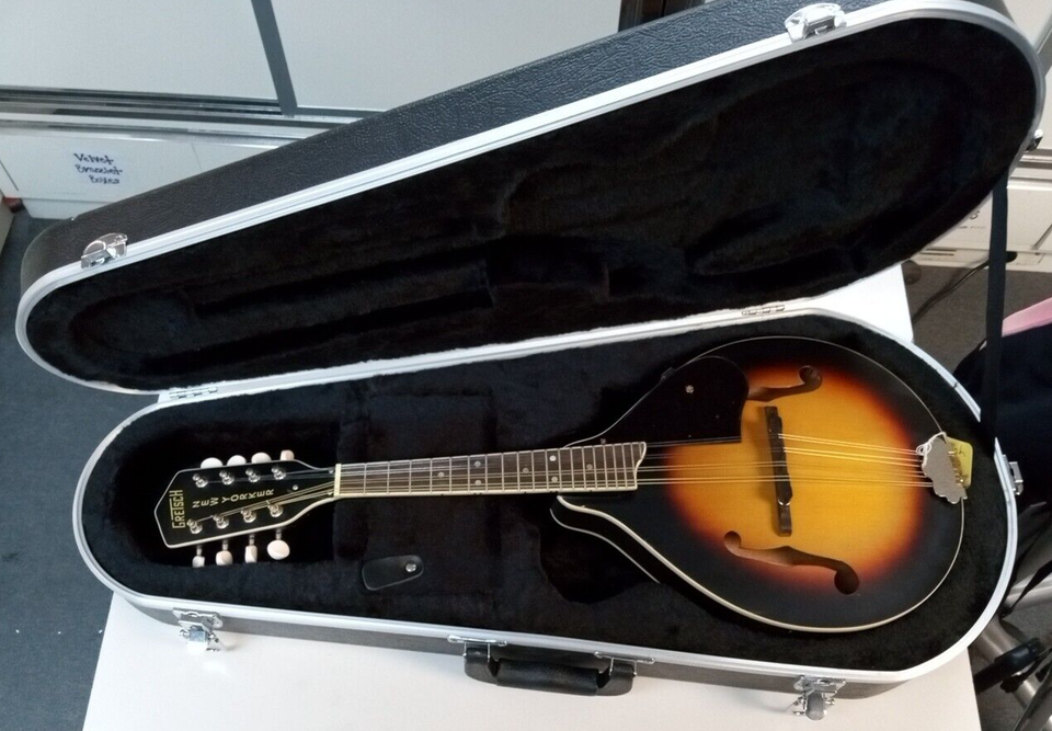 PLASTIC Hard Shell Mandolin Case For F And A Style Mandolins New TRAVEL ...