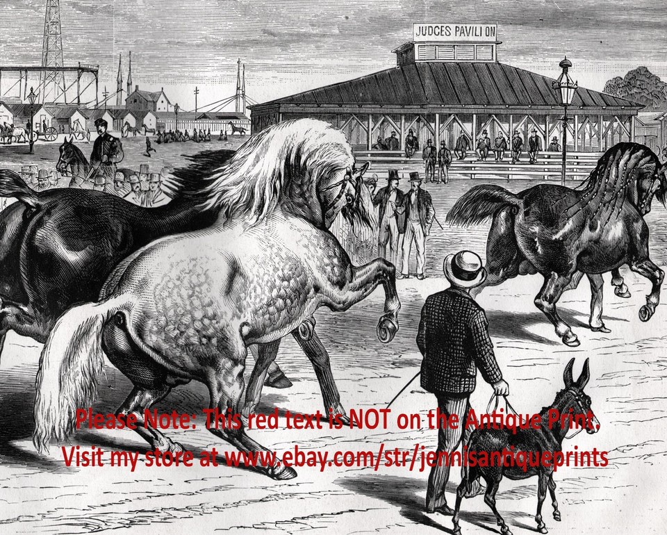 HORSE Percheron & Shire Drafts Parade to Show, Antique 1870s Engraving ...
