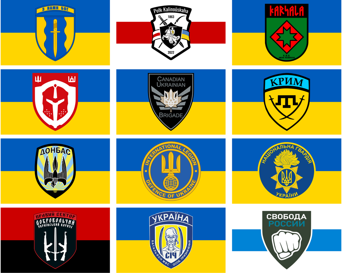 Donbass Battalion Logo