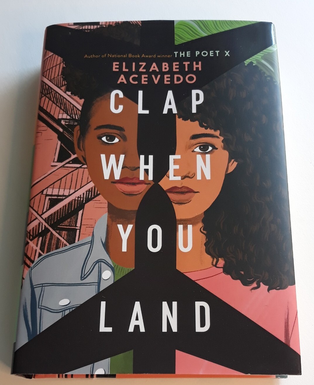 Clap+When+You+Land+by+Elizabeth+Acevedo+%282020%2C+Hardcover%29 for ...