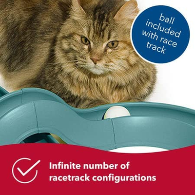 Cat Ball Track Toy Coastal Pet Turbo Track Cat Toy - Interactive Ball ...