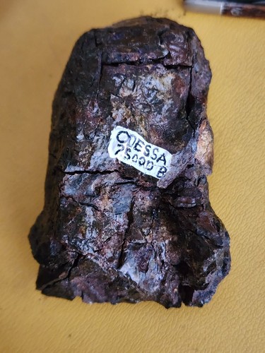 600 Grams ODESSA METEORITE BEAUTIFUL A GRADE METEORITE 1lb 5.2oz | eBay