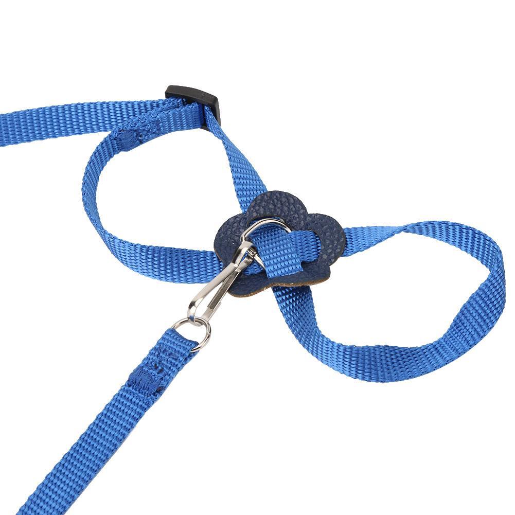 Leash Adjustable Harness Bird Anti Fly Outdoor Training Rope (Blue) | eBay