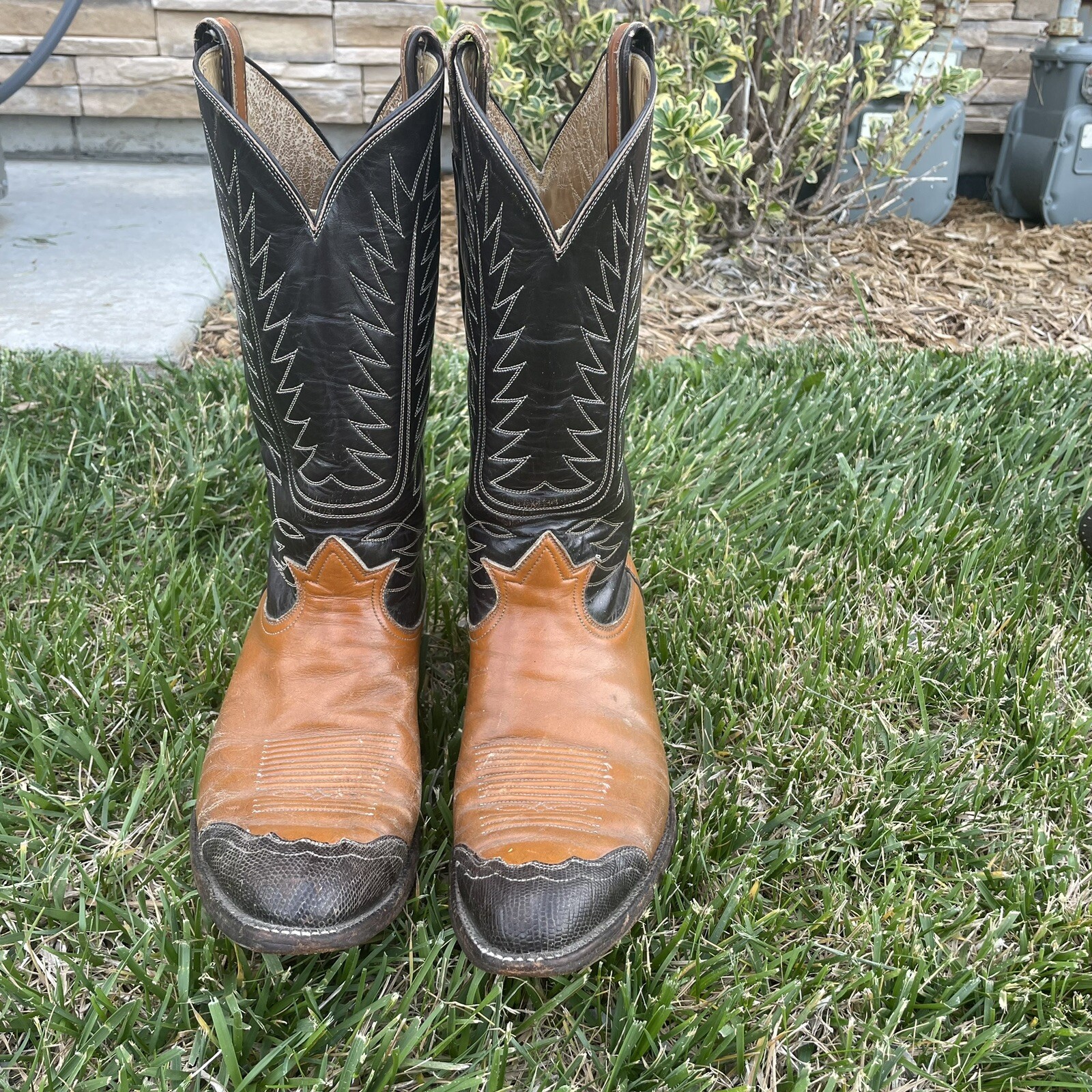 VINTAGE Tony Lama Cowboy Western Boots Peanut Brittle Teju Lizard Toe ...