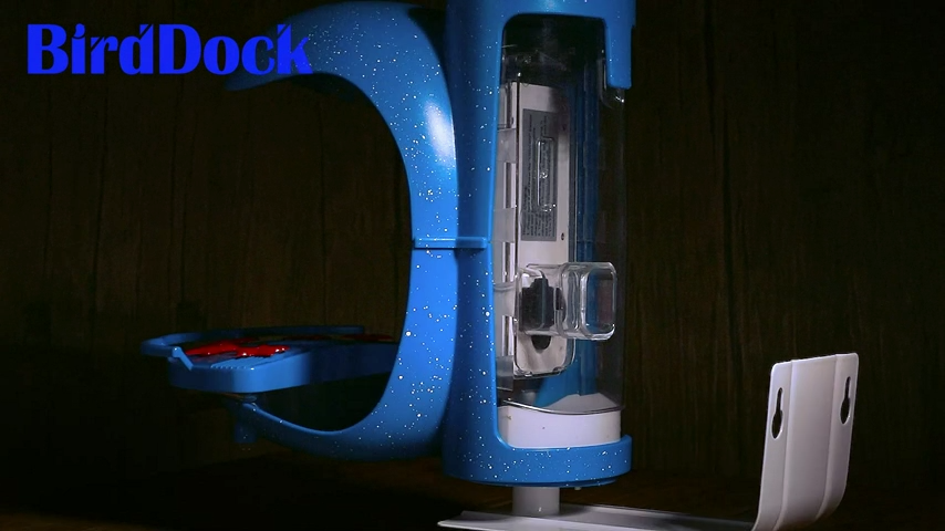 BirdDock Hummingbird Smart Bird Feeder Camera AI Recognition Christmas ...