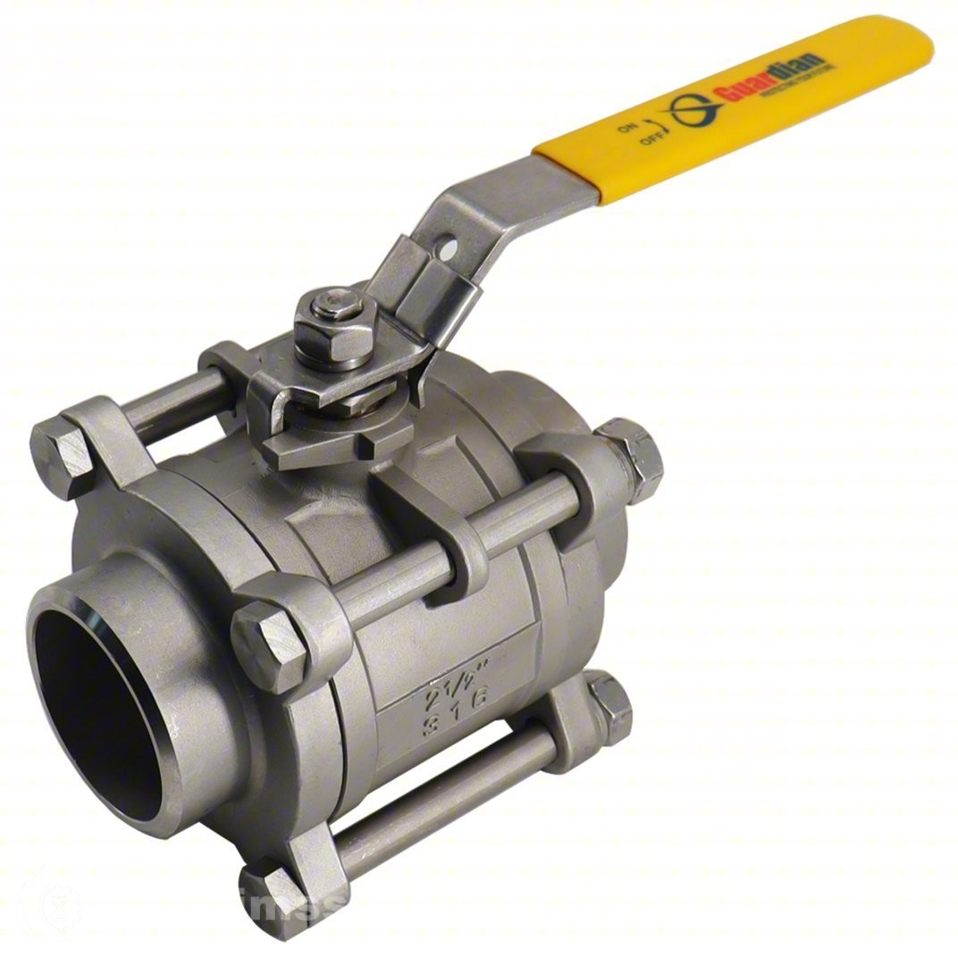 Guardian Worldwide 06Q031B04212 Manual Two-Way Ball Valve: 2-1/2" MFGD ...