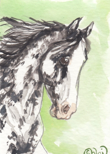 ACEO original Watercolor Art Card HORSE Sb1 Sabino Tennessee Walker ...