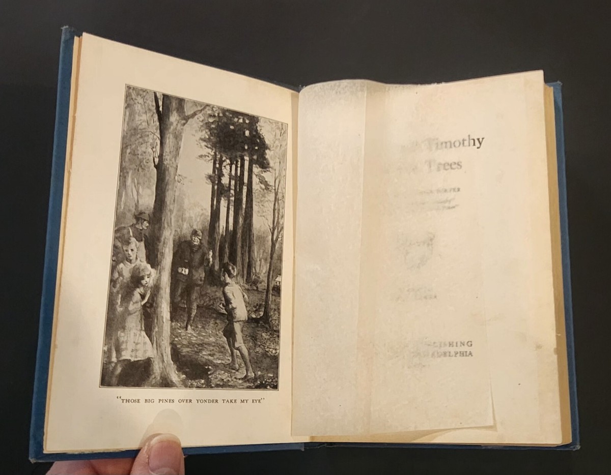 Timothy Trees's Instagram, Twitter & Facebook on IDCrawl