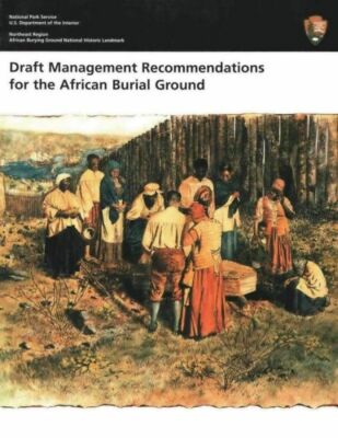 Draft Management Recommendations For The African Burial Ground ...