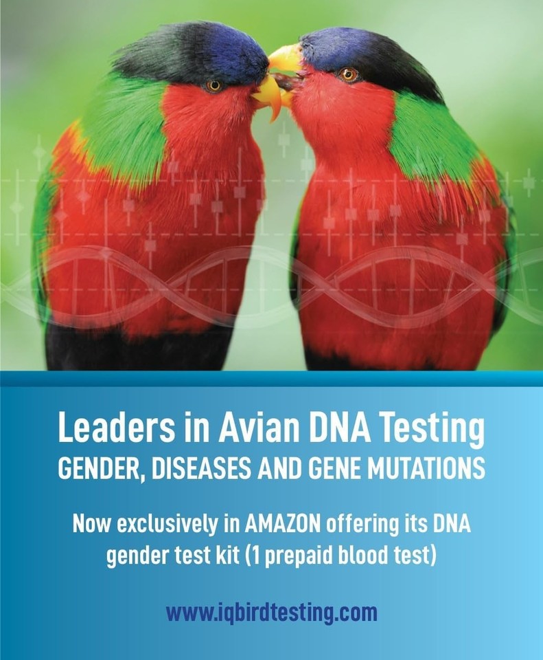 Bird DNA Gender Test Kit – Accurate Avian Sexing Using Feather or Blood ...