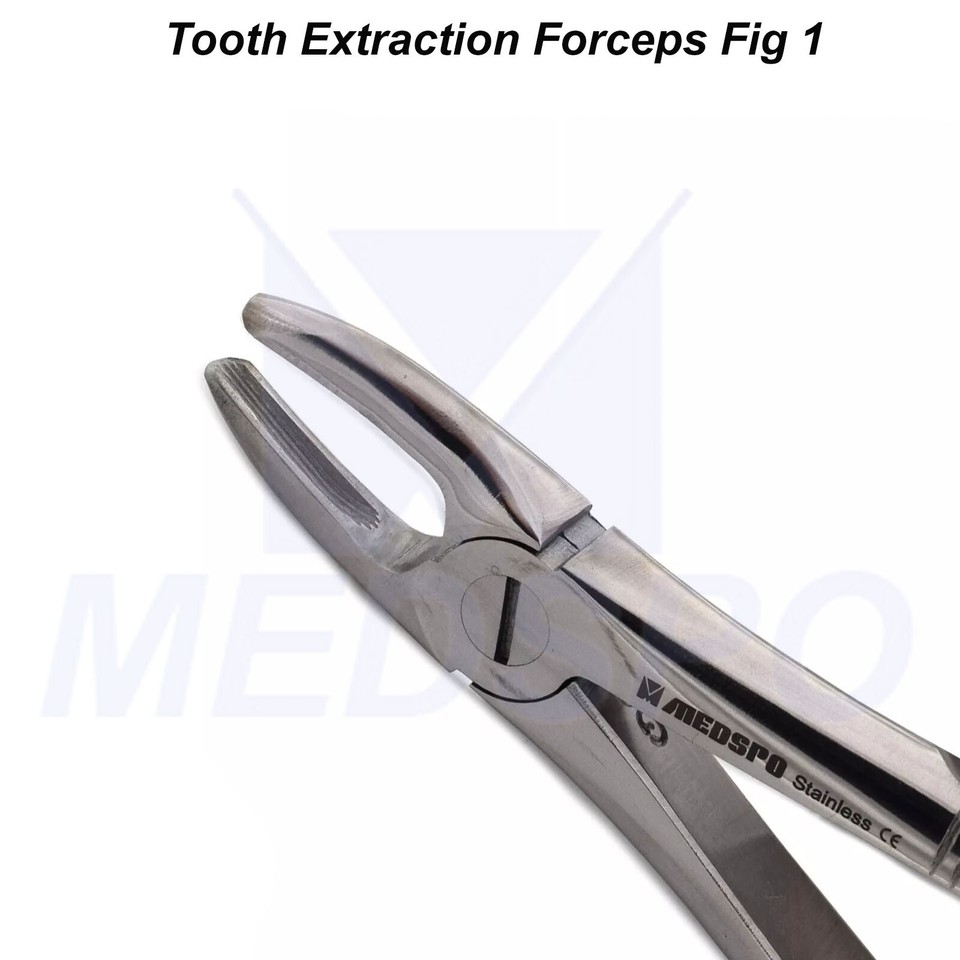 Dental Upper Root Incisor Children Tooth Extraction Forceps Fig01 ...