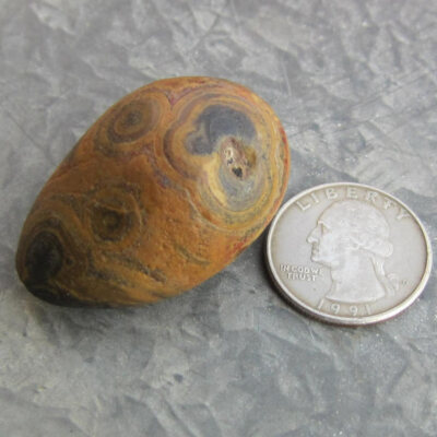 Natural Gobi eye stone Gobi rough agate/Jasper for Bonsai Suiseki gm672 ...