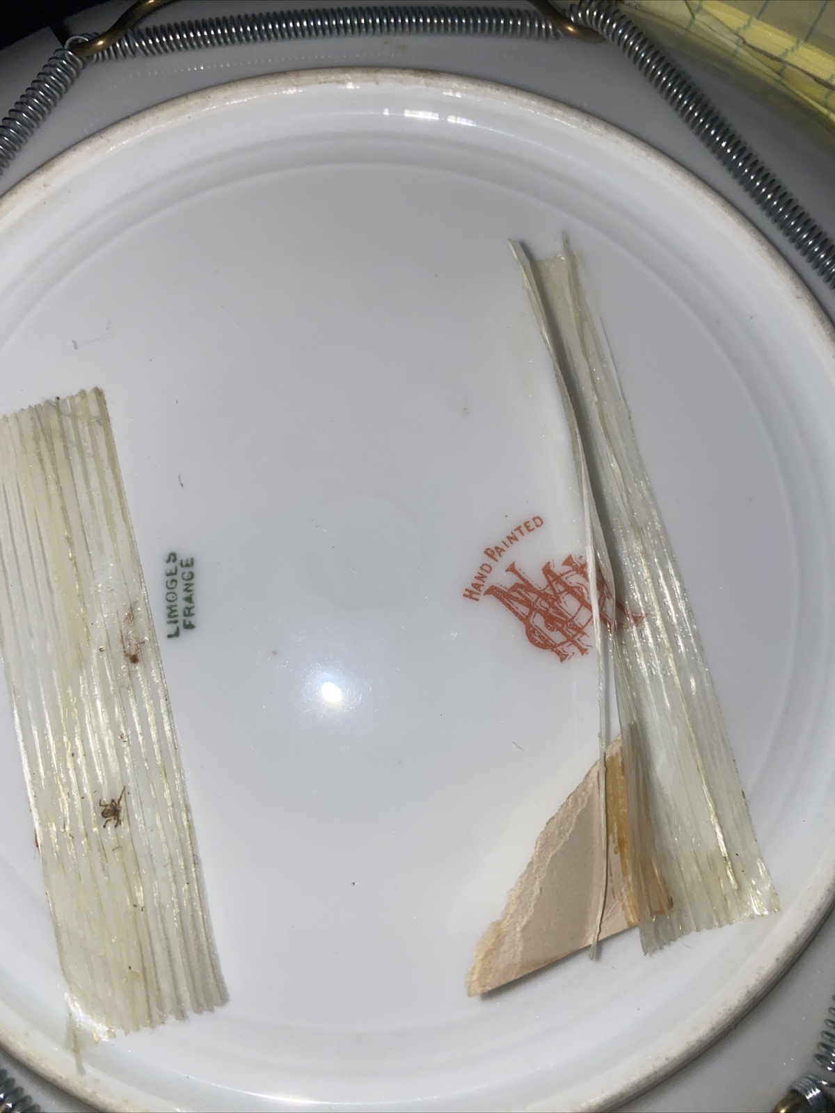 T. Luc Early Limoges Hand Painted Apples Signed Plate Wall Hanger ...