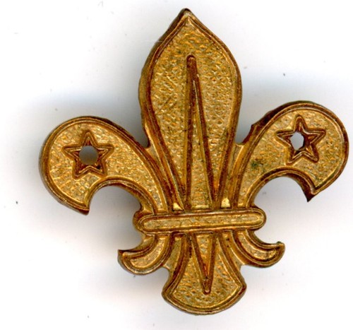 Vintage Boy Scouts arrowhead green beret hat badge pin c1960 gilt metal ...