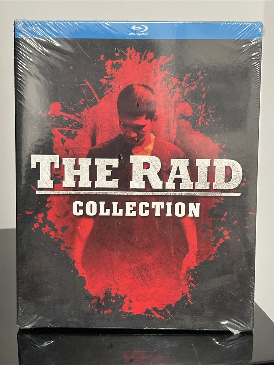 Affiche Du Personnage De Raid 2 Raid On Graymalkin : (déjà) Un