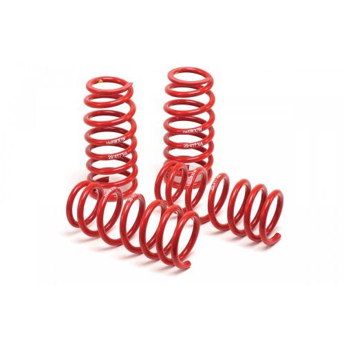 H&R Springs 50104-88 Race Coil Spring Kit For 2004-2008 Acura TL NEW | eBay