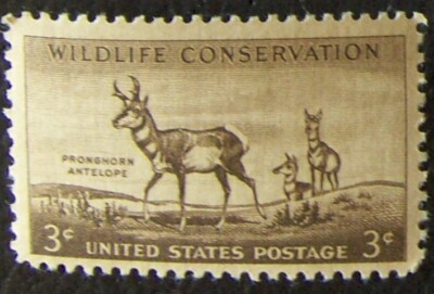 US 3¢ stamp SC #1078 Wildlife Conservation MNH 1956. | eBay