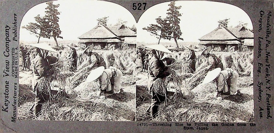 Vintage Peasant Farmers Threshing Rice Japan Photograph Keystone ...