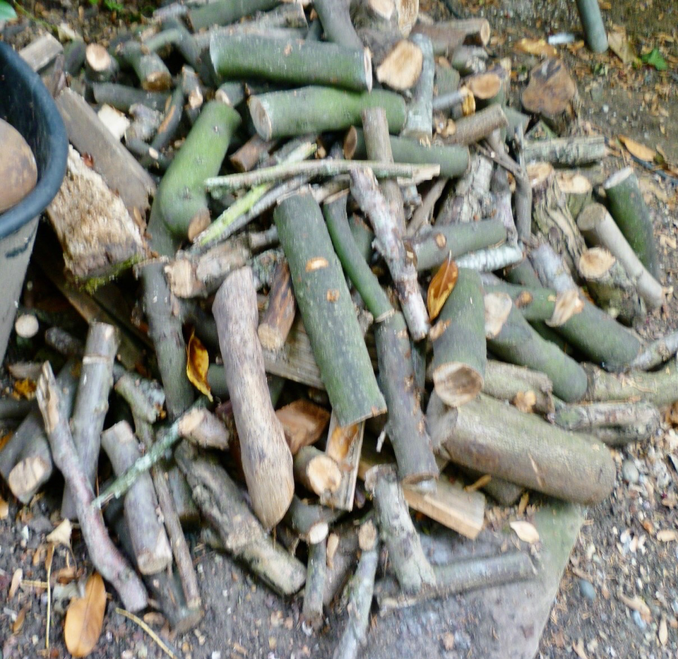 Pile of Small Sized Firewood Logs | eBay UK