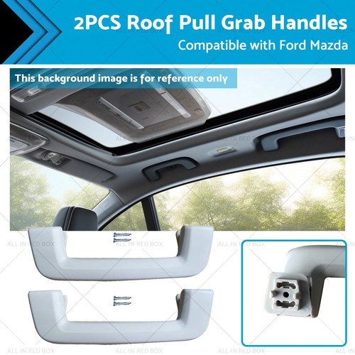 2PCS Roof Pull Grab Handles Suitable for Ford Ranger T6 T7 Mazda BT50 ...
