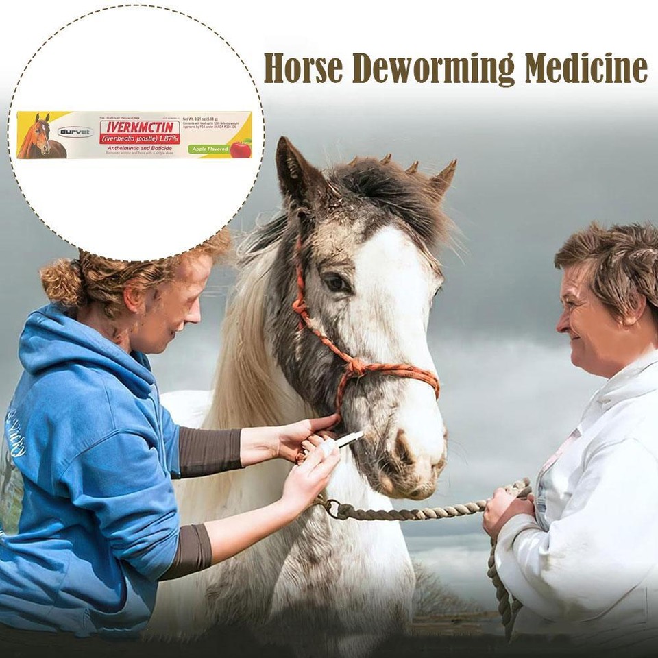 5PCS Paste Horse Dewormer - Apple Flavor Exp 3/2027 Anthelmintic & Boticide,, | eBay