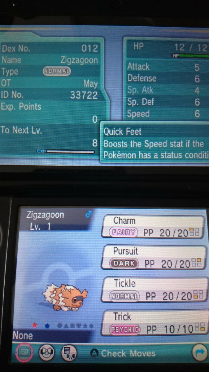 Shiny Zigzagoon Pokemon X