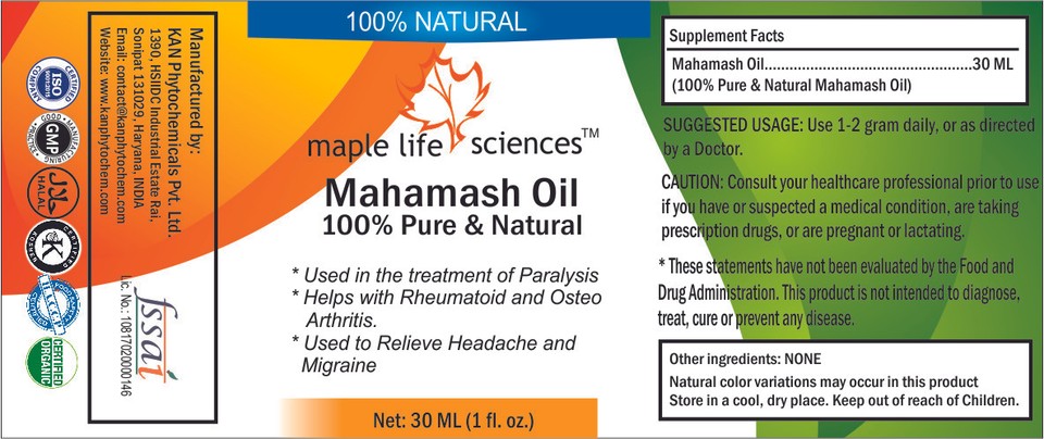 Mahamash Oil ,100% Pure , Ayurvedic treatment of Paralysis, Palsy ...