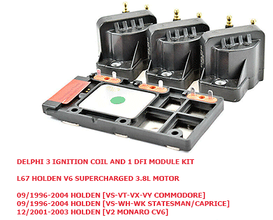 Delphi Ignition Coils+ DFI Module For Holden Commodore VN VP VS VT VU ...