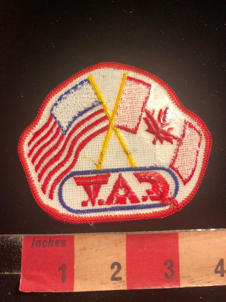 USA - Canada Flags Patch Says C. A. T. CAT - I Assume Canada - America ...