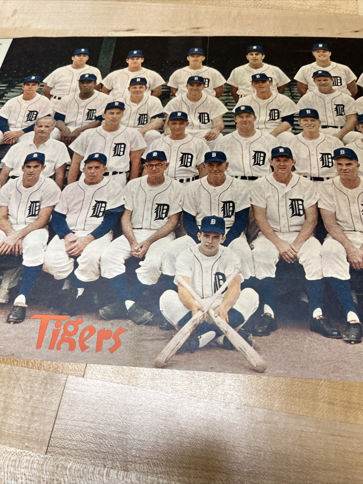 Detroit Tigers 1968 World Champions Team Photo. "Sock it to 'em Tigers ...