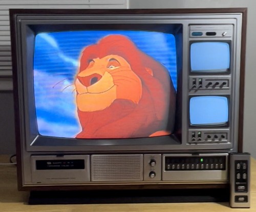 Super Rare Vintage Sampo 9519 Tri-Screen 19” Color TV 1981 - LOCAL PICK ...