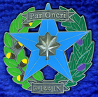 US Army 95th Training Division 3-144 IN Texas Command Challenge Coin C ...