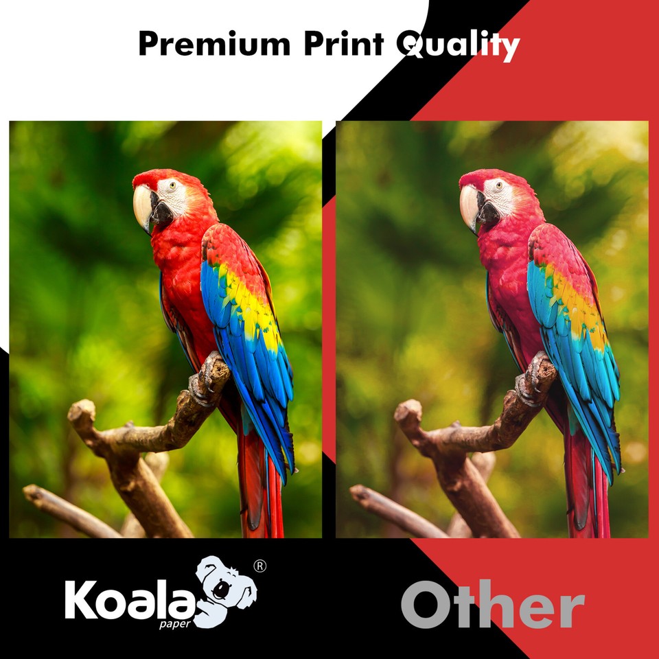 Koala Transparency Clear Film for Projectors Laser + Inkjet Printers ...