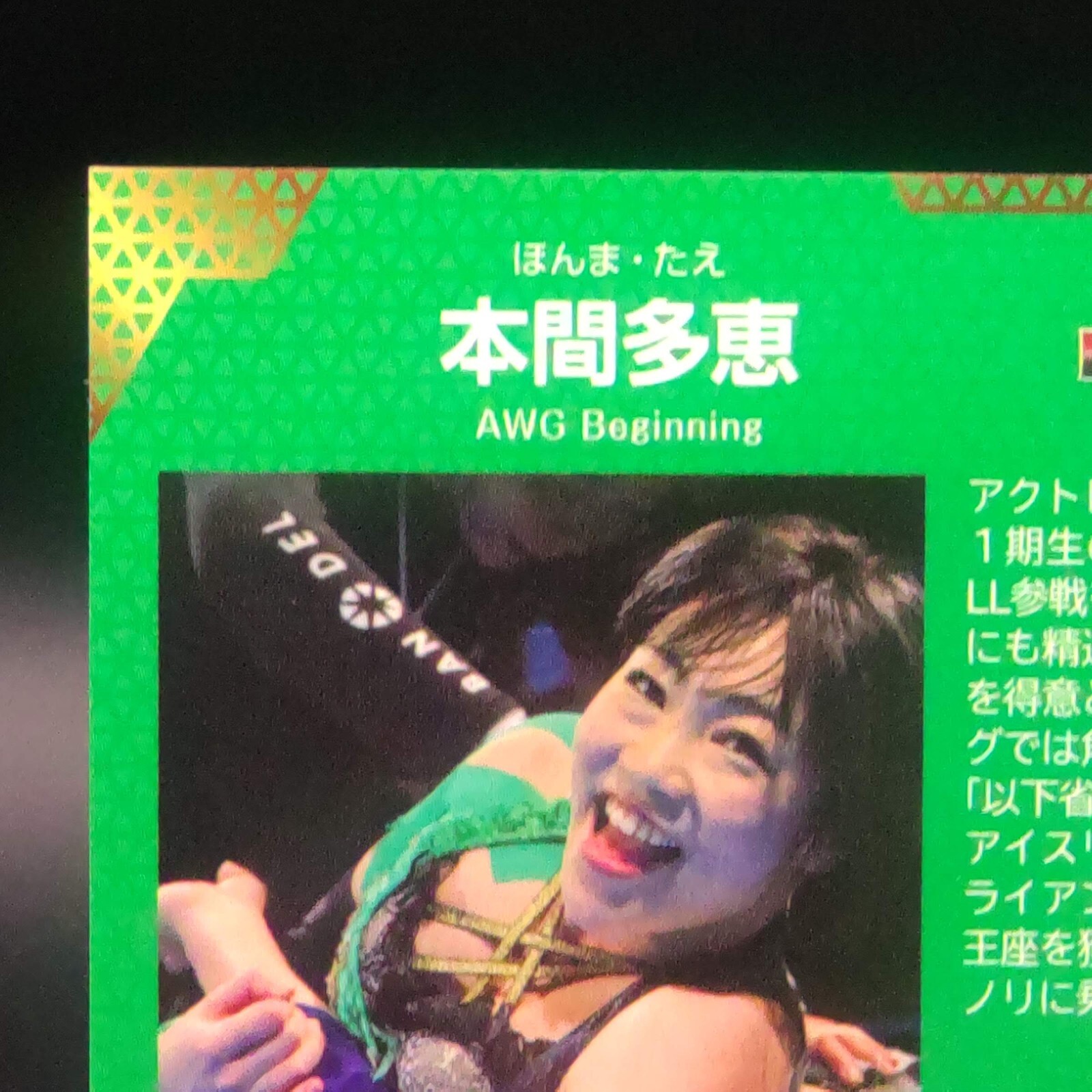 Tae Honma Woman's Pro Wrestling BBM 2020 cards Baseball Magazine ...