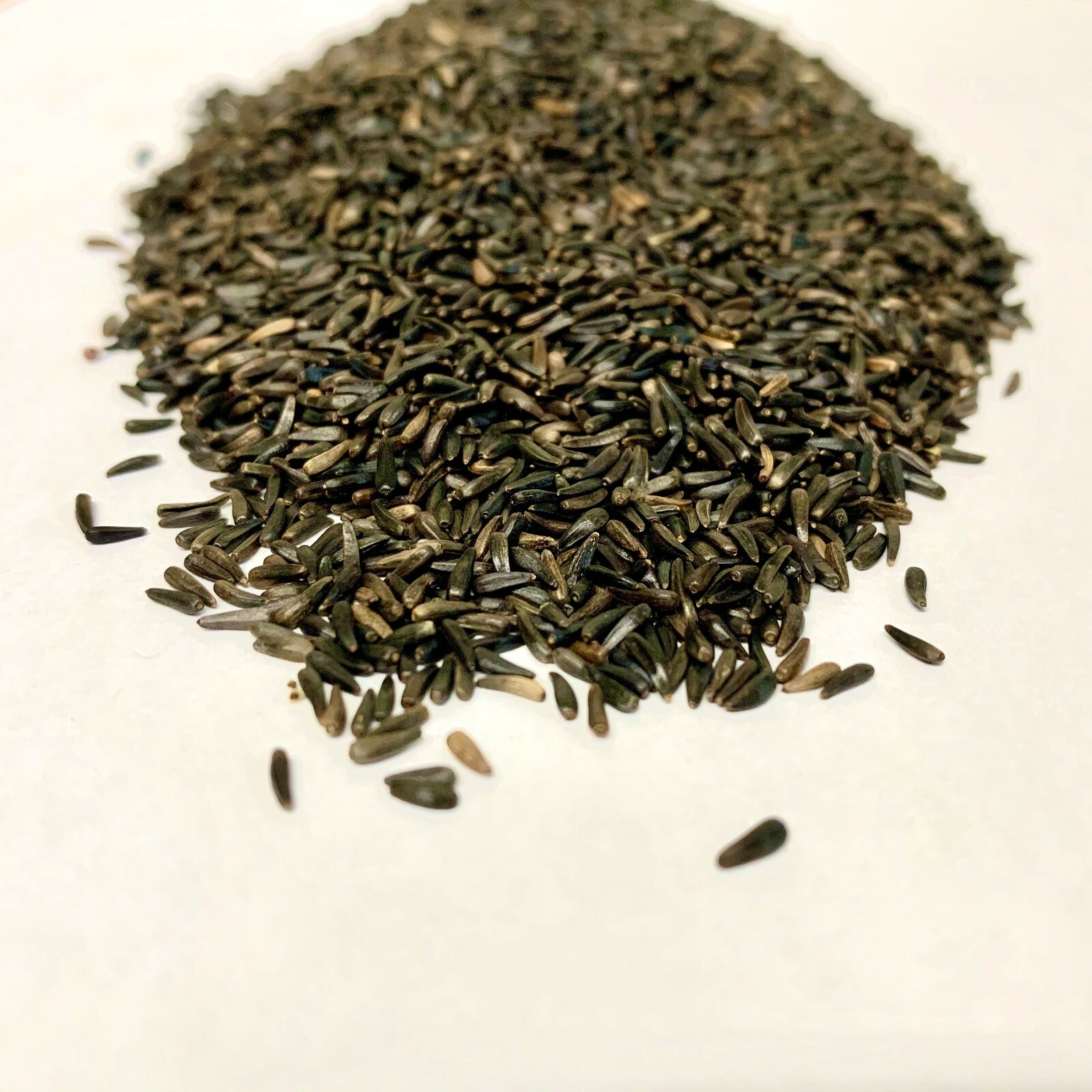 Nyger Seed Premium Wild Bird Feeding Nyjer Nijer Niger | eBay UK